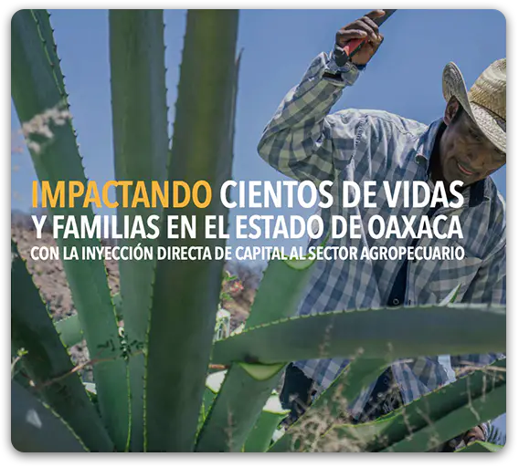 Inversiones agropecuarias MagueyToken®